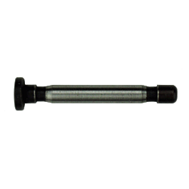 DISASSEMBLY PIN EVO | CZ-USA